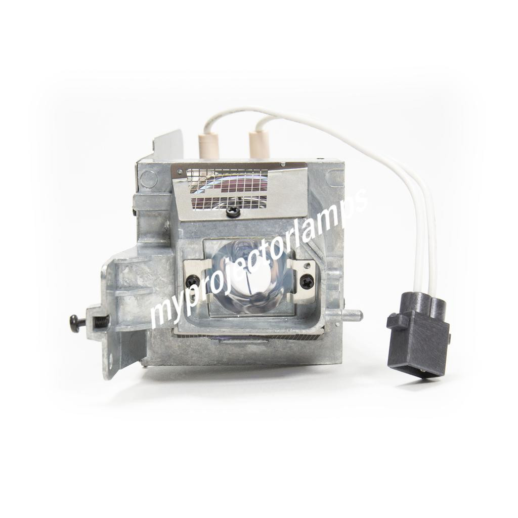 Optoma VDHDNT Projector Lamp with Module - MyProjectorLamps USA