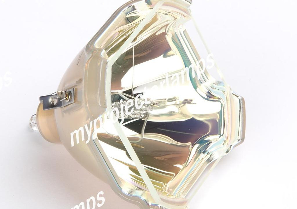Boxlight mp-50t Bare Projector Lamp - MyProjectorLamps USA