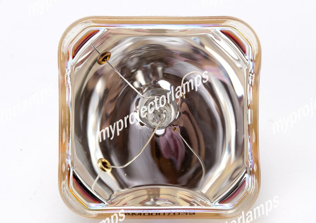 Eiki 610-330-4564 Bare Projector Lamp - MyProjectorLamps USA