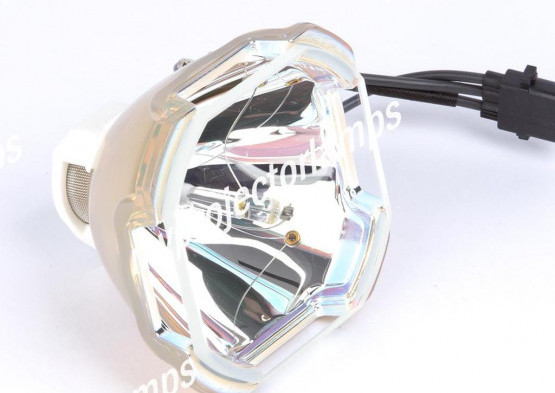 Panasonic PT-EX16KE 裸投影機燈泡 - MyProjectorLamps Hong Kong