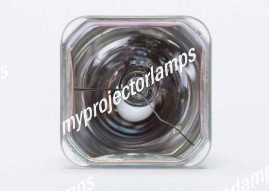 Bulbo/Foco para proyector Infocus IN5132 - MyProjectorLamps Mexico