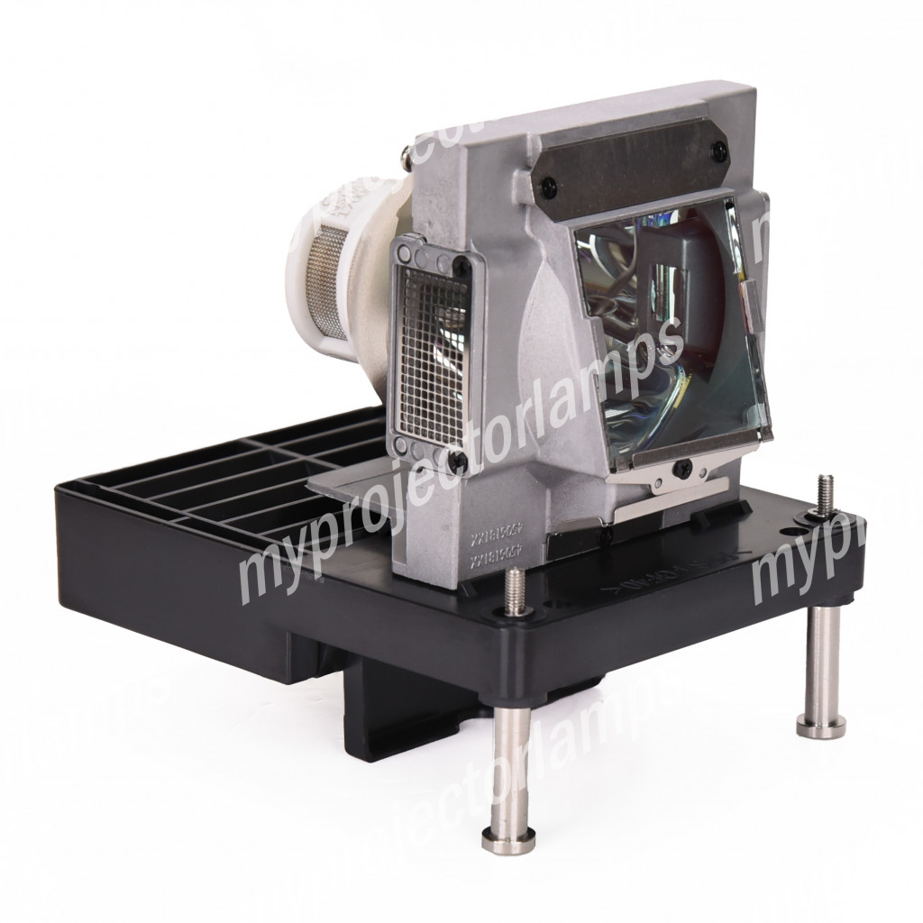 Digital Projection 118-047 Projector Lamp with Module ...