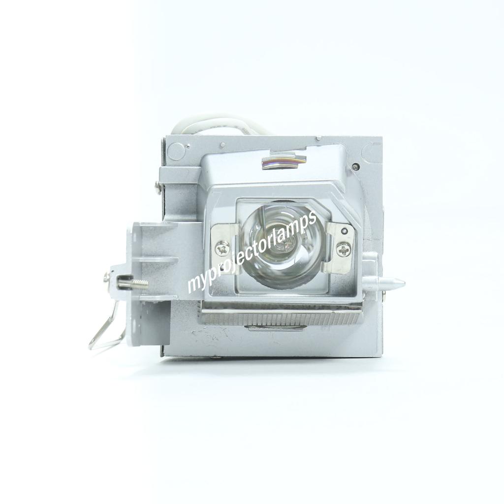 Optoma VDHDNL Projector Lamp with Module - MyProjectorLamps USA