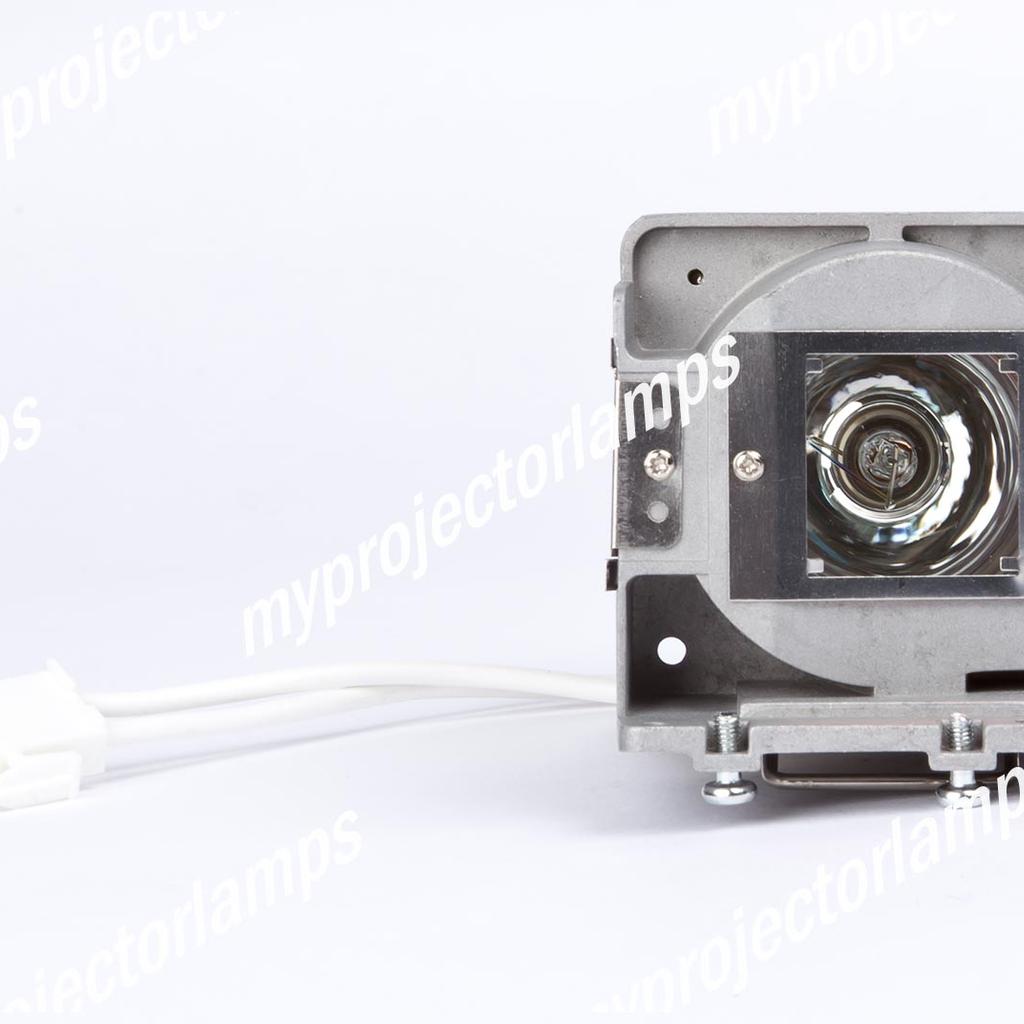 Viewsonic PJD5123 Projector Lamp with Module - MyProjectorLamps USA