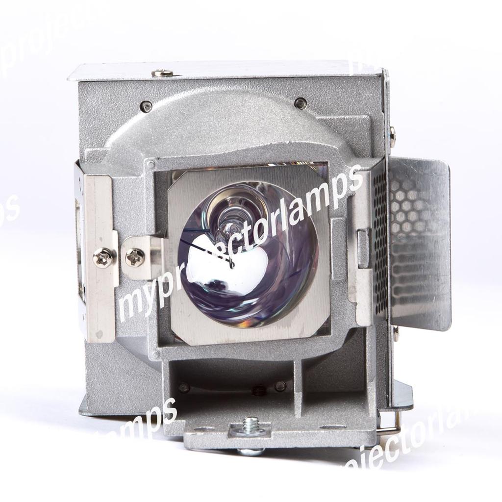 Viewsonic PJD6253 Projector Lamp with Module - MyProjectorLamps USA