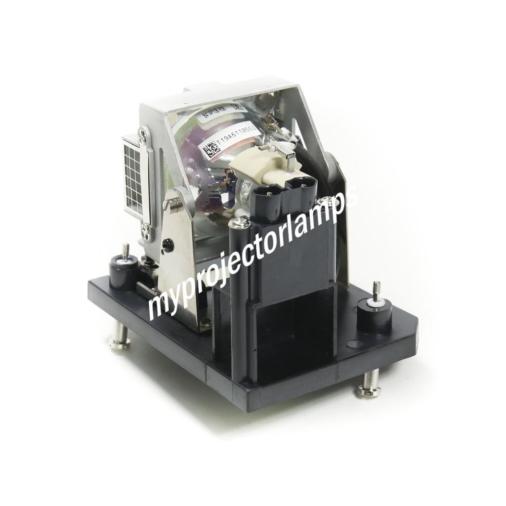 Digital Projection 116-380 Projector Lamp with Module ...